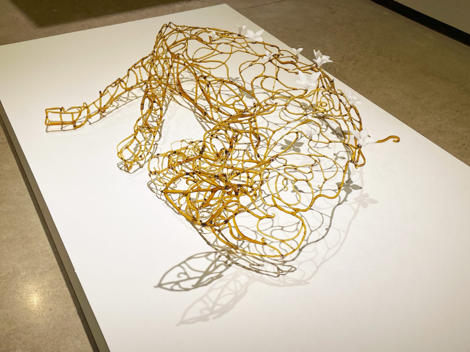 Now On View: Our 2025 Virtual Exhibitions – Glass Art Society